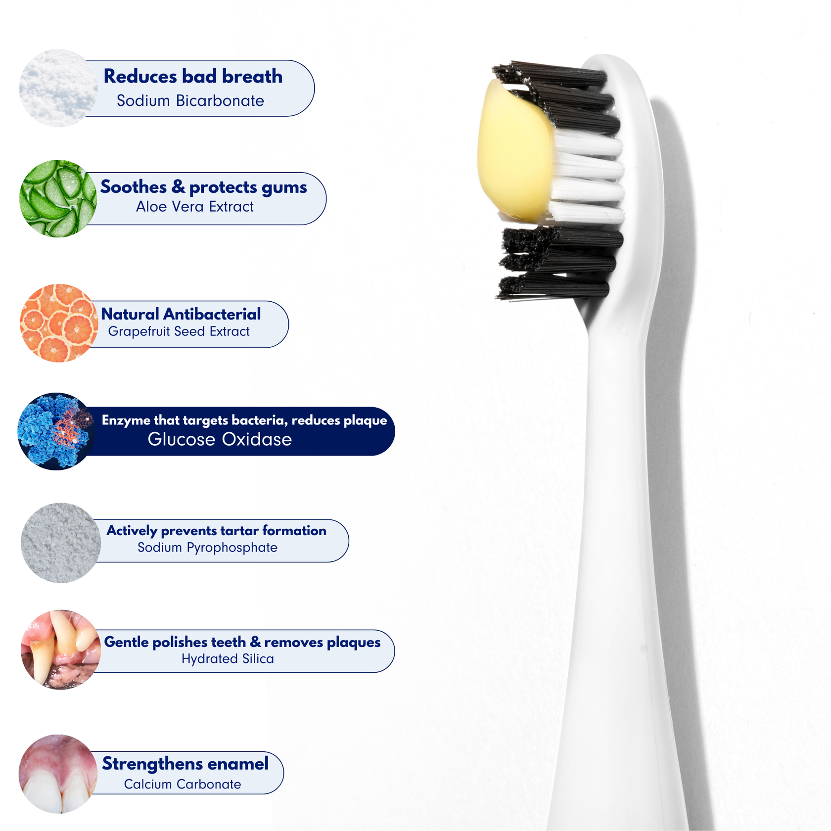 RarePet - Enzymatic Pet Toothpaste – RarePet.Co