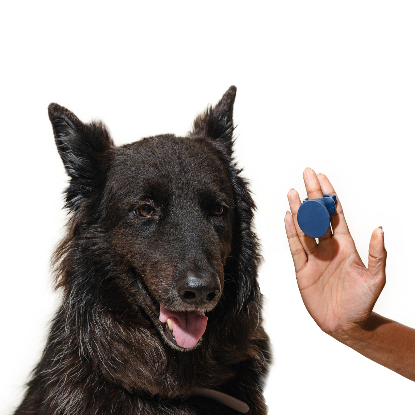 Bite Blocker - RarePet. – RarePet.Co